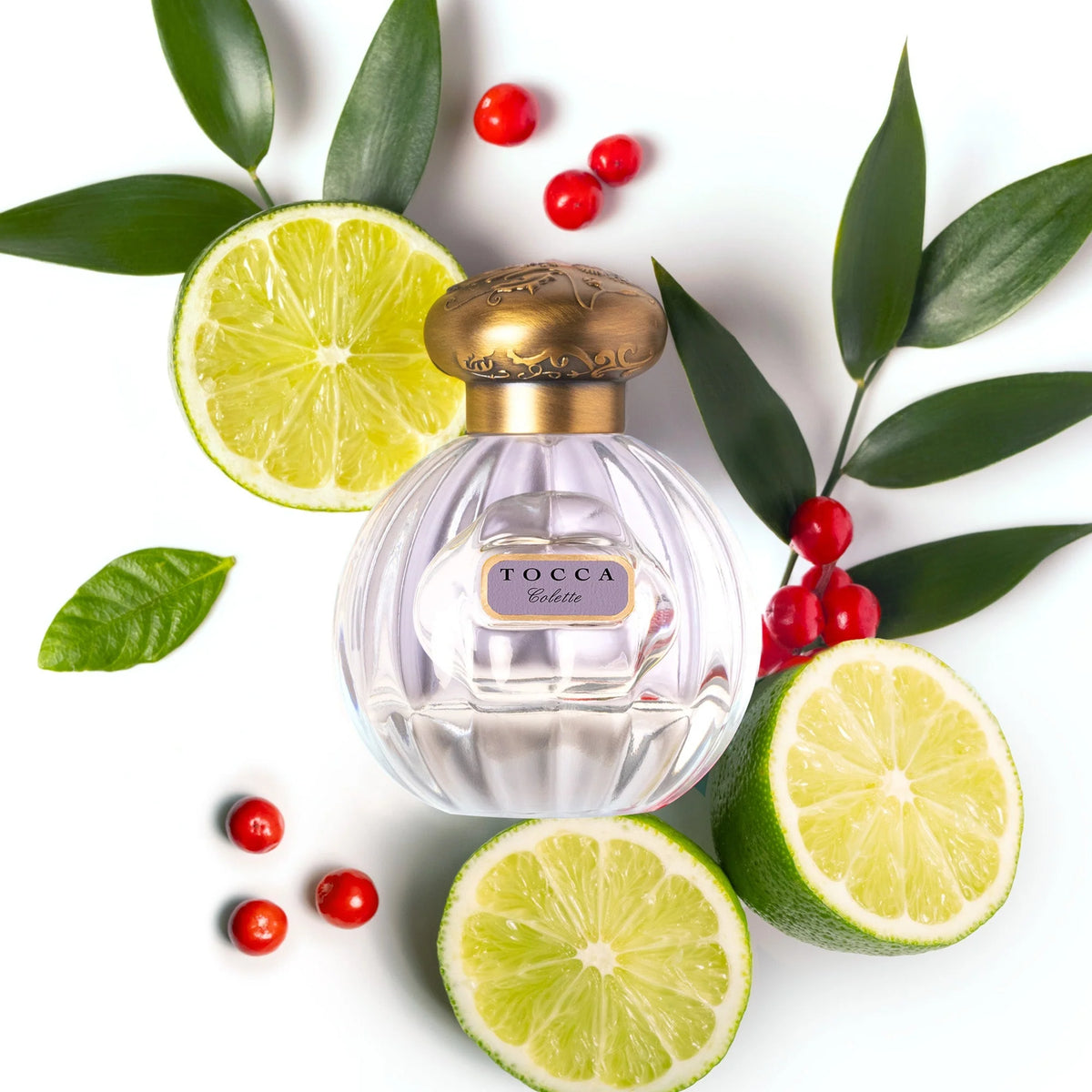 Tocca Colette Collection – Bungalow 123